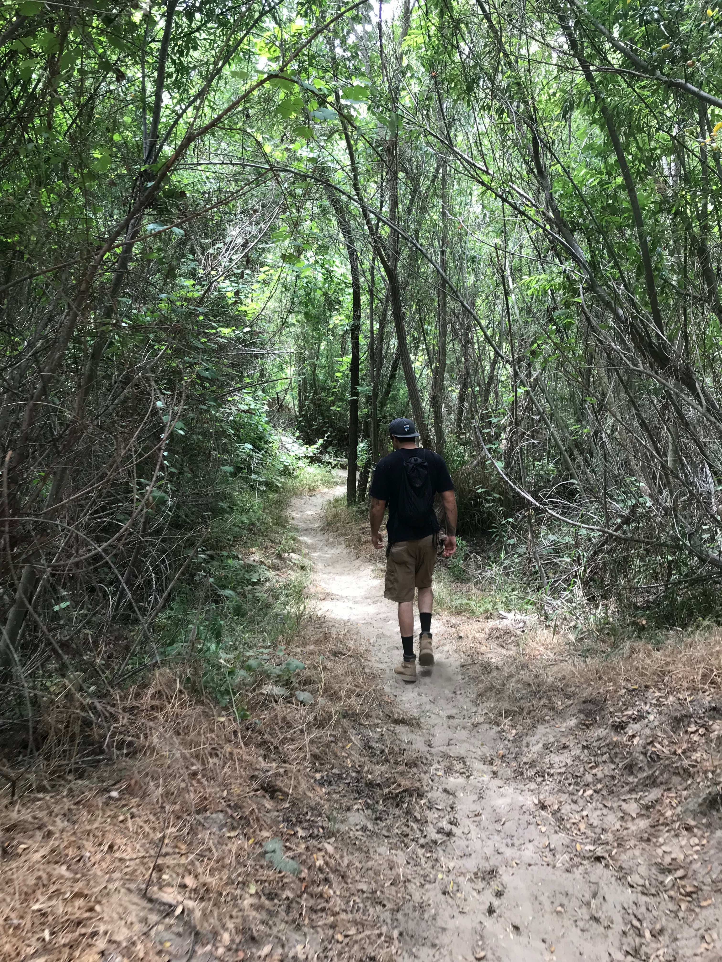 Santa Margarita River Trail, Fallbrook, CA Father’s Day Hike 06/18/2017 ...